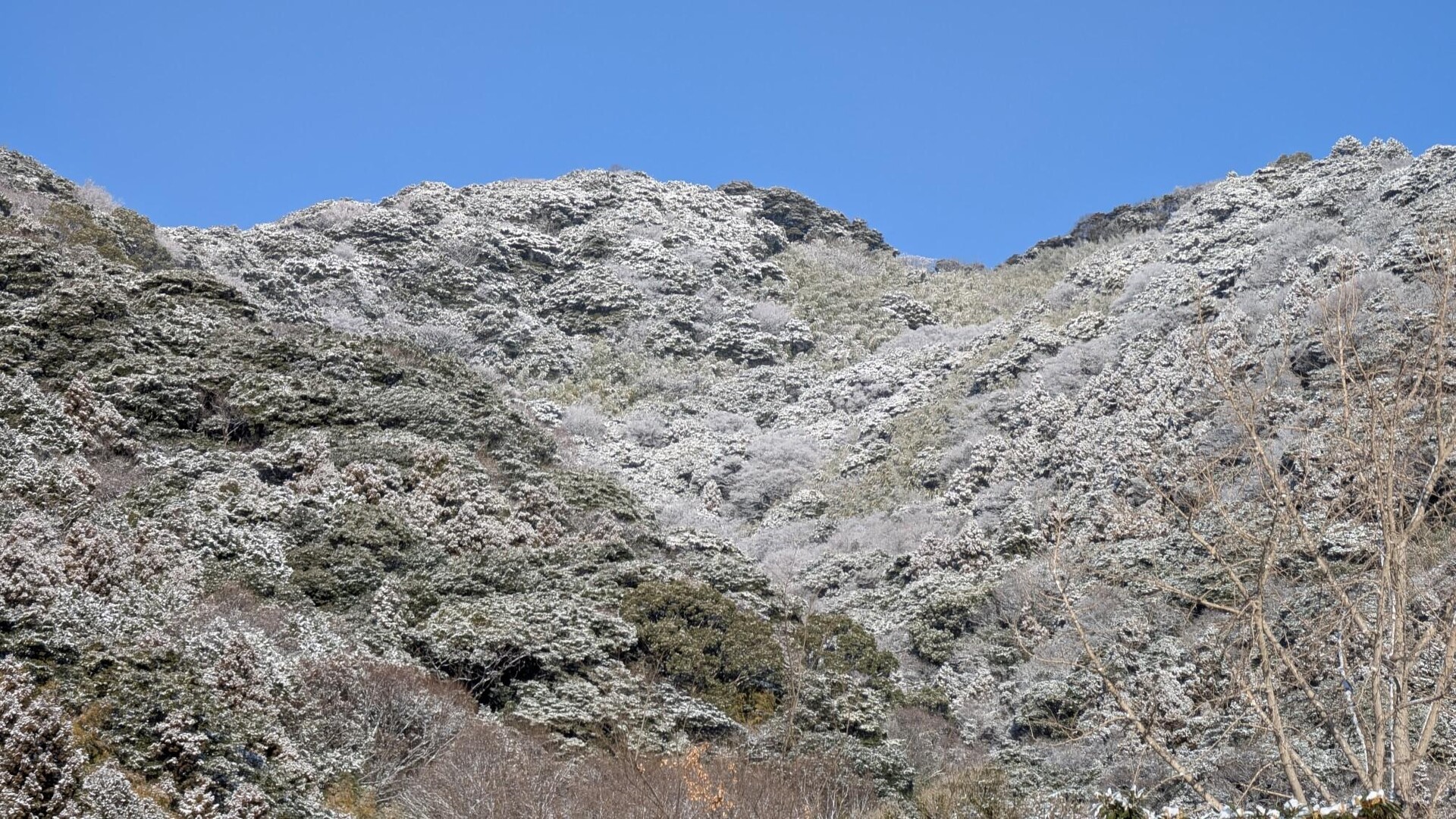 嶽山 朝の山歩 R7-19 / Zatoさんの嶽山・若山・四熊ヶ岳の活動データ | YAMAP / ヤマップ