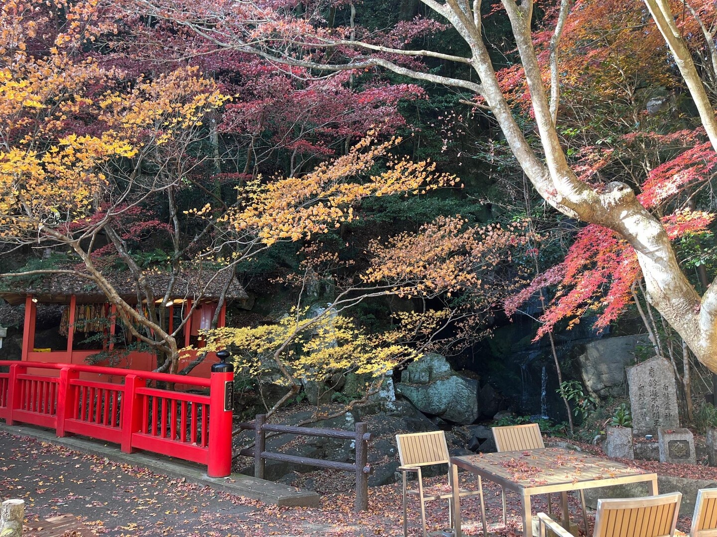 猿投山 / nicole_cryptoさんの猿投山・物見山の活動データ | YAMAP / ヤマップ