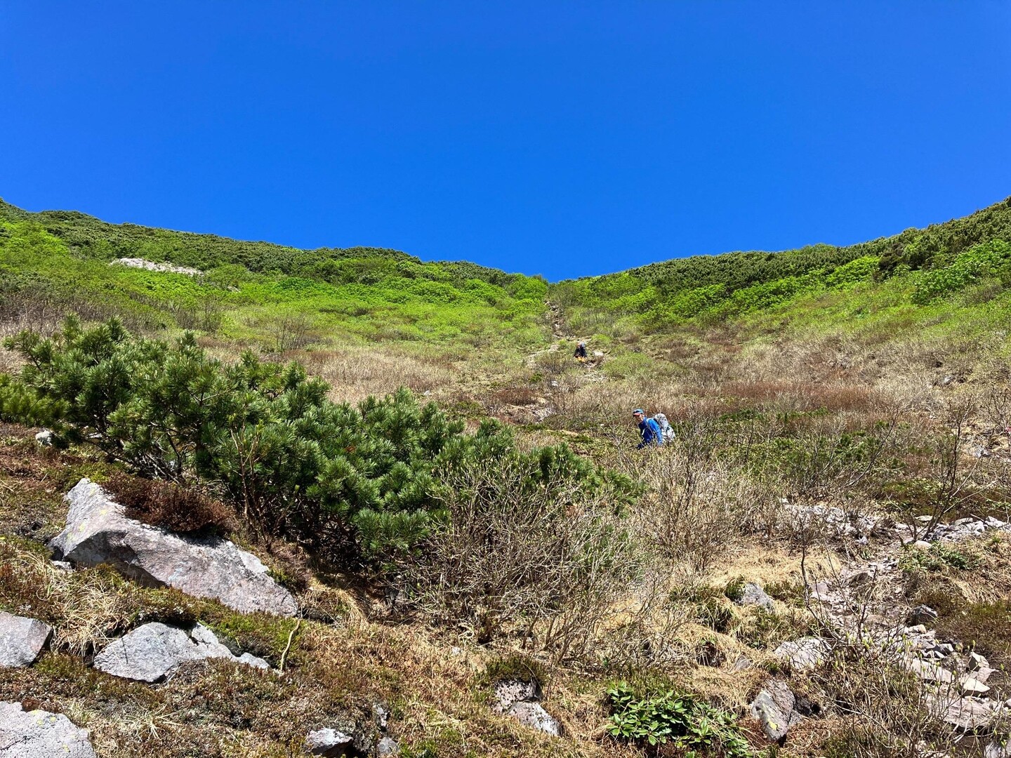 TKOさんの投稿したフィールドメモ | YAMAP / ヤマップ