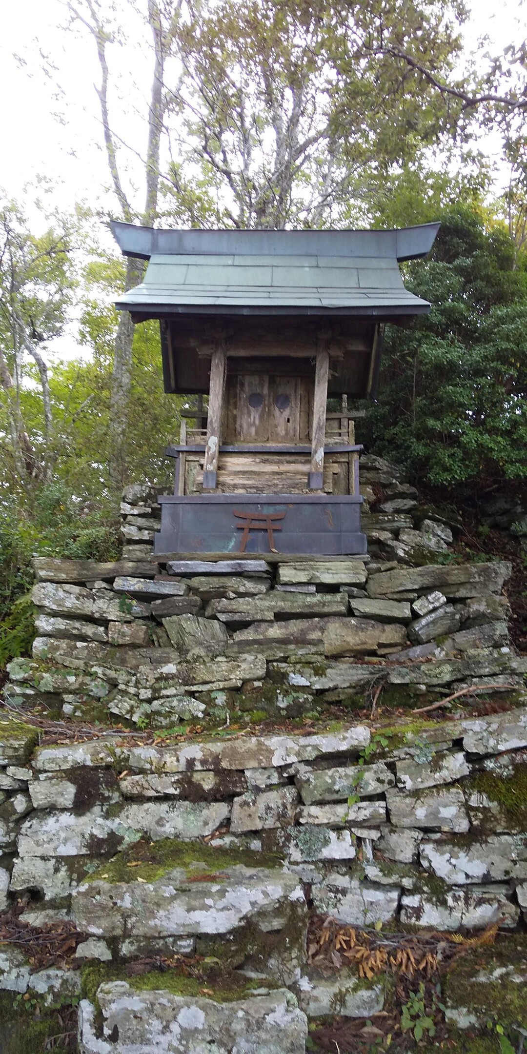 天行山・東宮山・富貴山・風宮山 2022/10/9 / Sunさんの東宮山・天行山の活動データ | YAMAP / ヤマップ