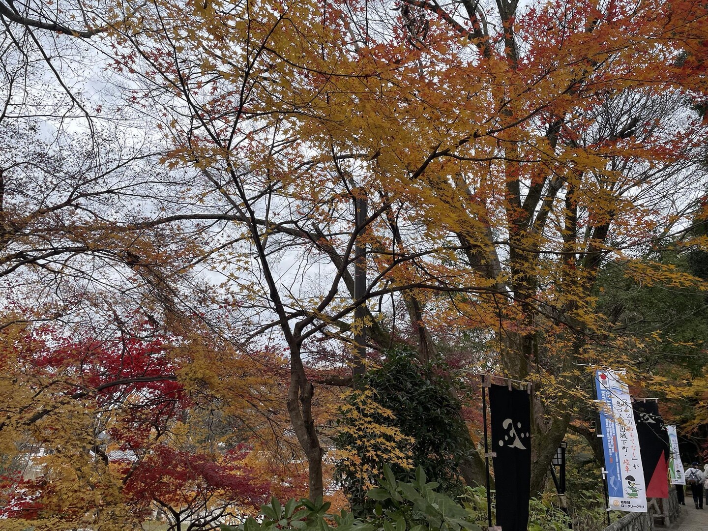 金華山 / KA-NAさんの金華山・洞山・舟伏山の活動データ | YAMAP / ヤマップ