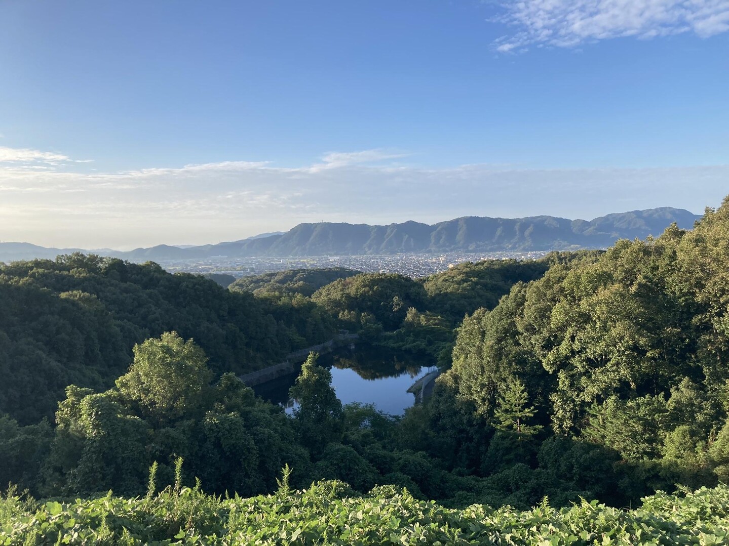 今日からプレミアになりました。 毎朝の裏... / kozoさんのモーメント | YAMAP / ヤマップ