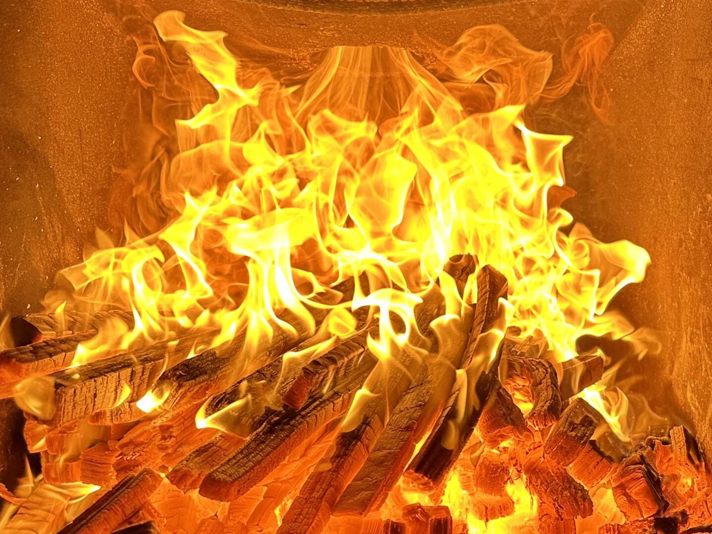 あったまろ🔥 ストーブ小屋 / Go Kidさんの医王山・白兀山・箱屋谷山の活動データ | YAMAP / ヤマップ