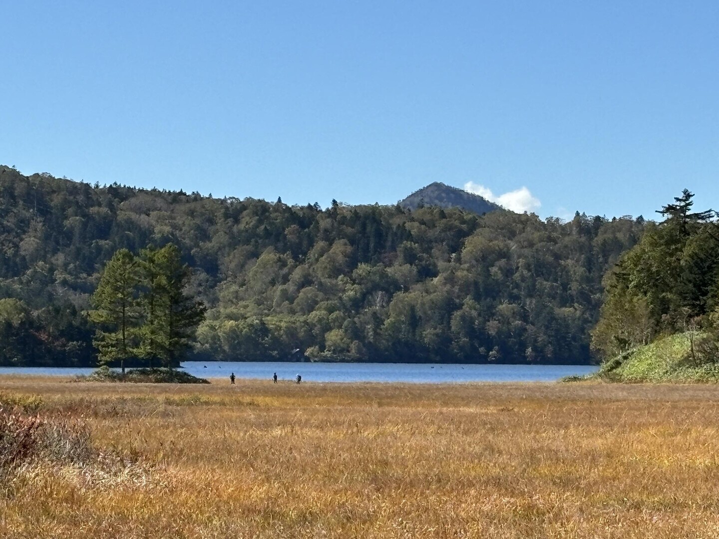 尾瀬・燧ヶ岳-2024-10-13 / KABUさんの尾瀬・燧ヶ岳の活動データ | YAMAP / ヤマップ
