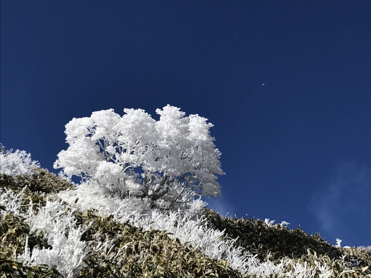 hideのページ | YAMAP / ヤマップ