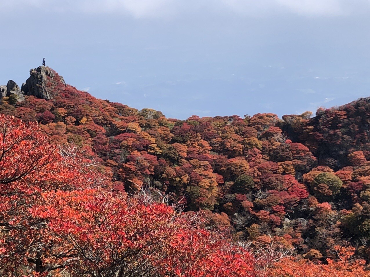2020.10.14 御池の紅葉🍁 / あこさんのモーメント | YAMAP / ヤマップ