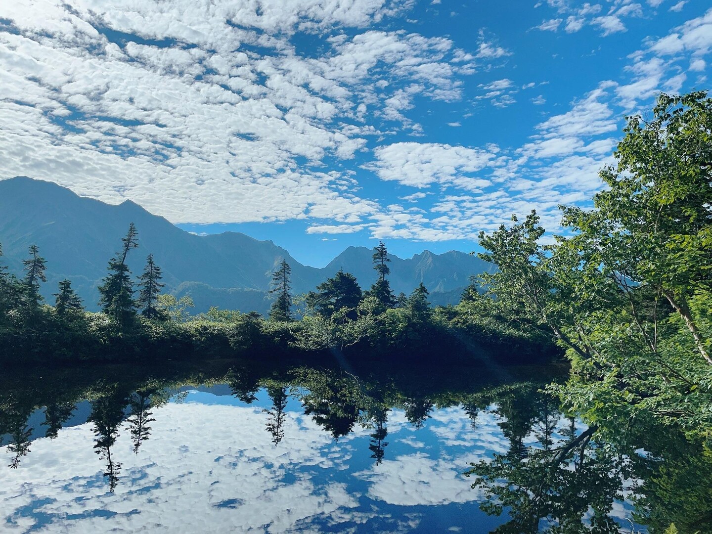 双六～新穂高へ 3 / soraさんの槍ヶ岳・穂高岳・上高地の活動データ | YAMAP / ヤマップ