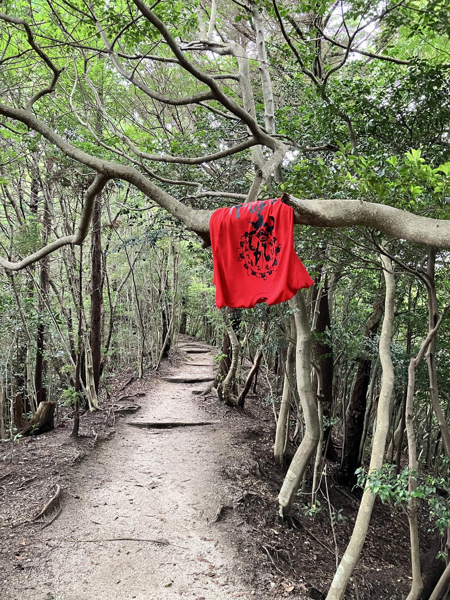 猿投山 / Akioさんの猿投山・物見山の活動データ | YAMAP / ヤマップ
