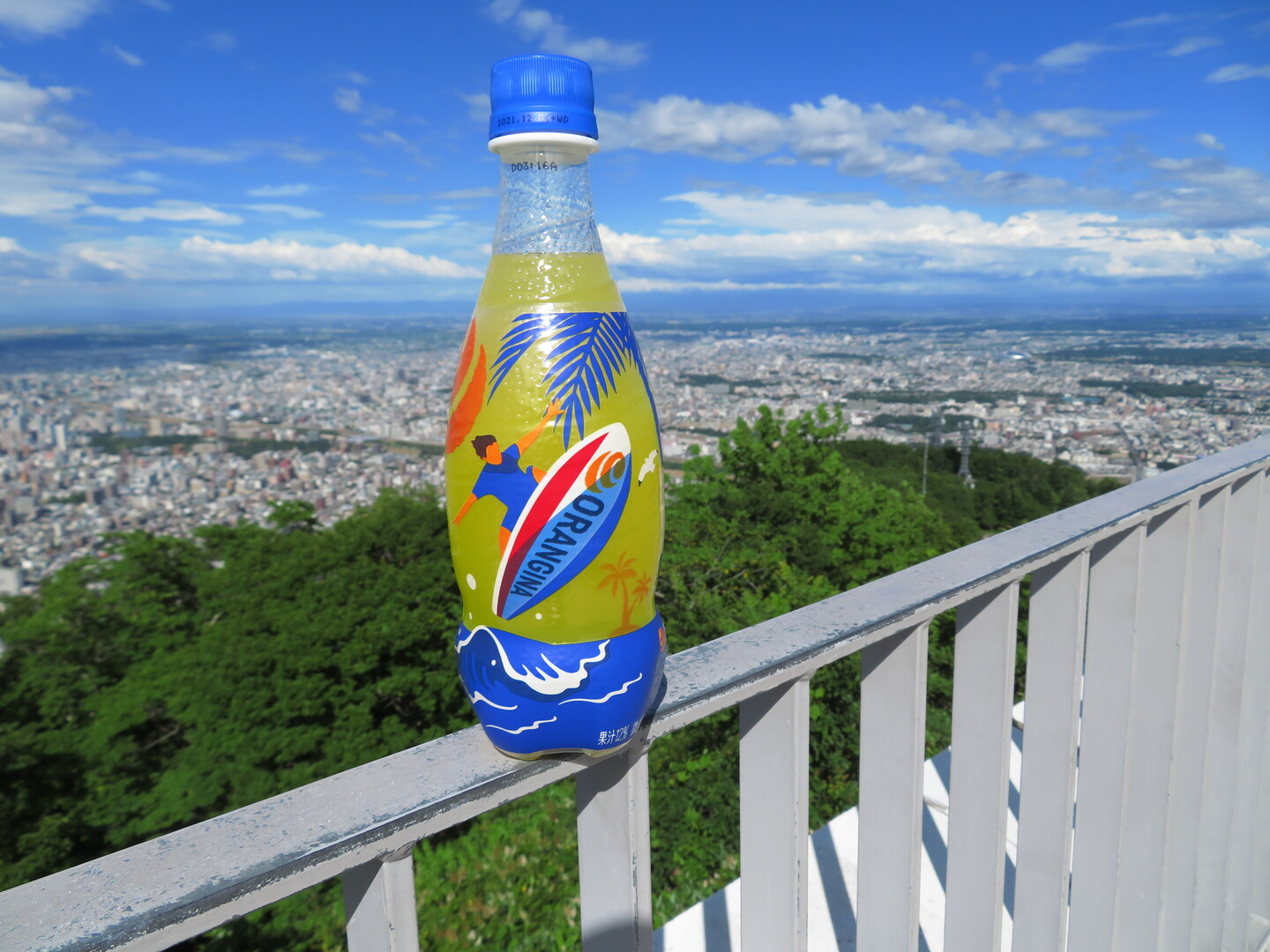 ガンバレ2021！ 16th 藻岩山編 / naotoGSさんの藻岩山の活動データ | YAMAP / ヤマップ