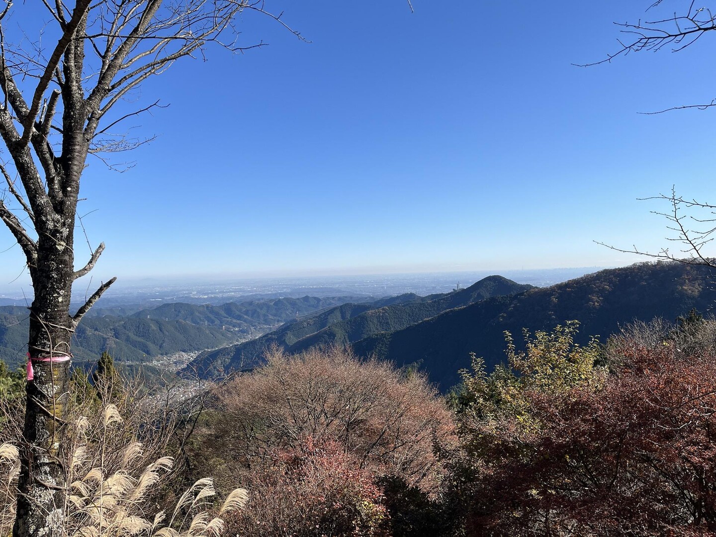 御岳山 / nonさんの大岳山・御岳山・御前山の活動データ | YAMAP / ヤマップ