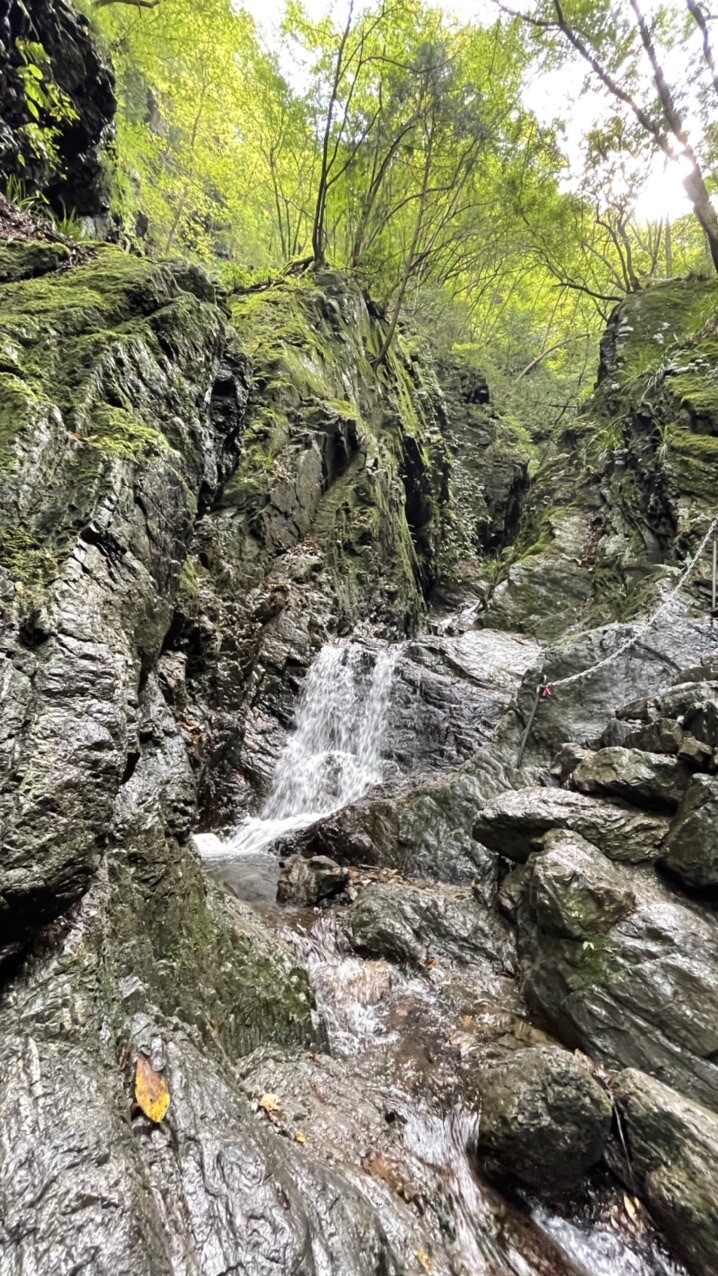 棒ノ折山 (ハーフver.) / えーいち 🦎さんの棒ノ折山（棒ノ嶺）の活動データ | YAMAP / ヤマップ