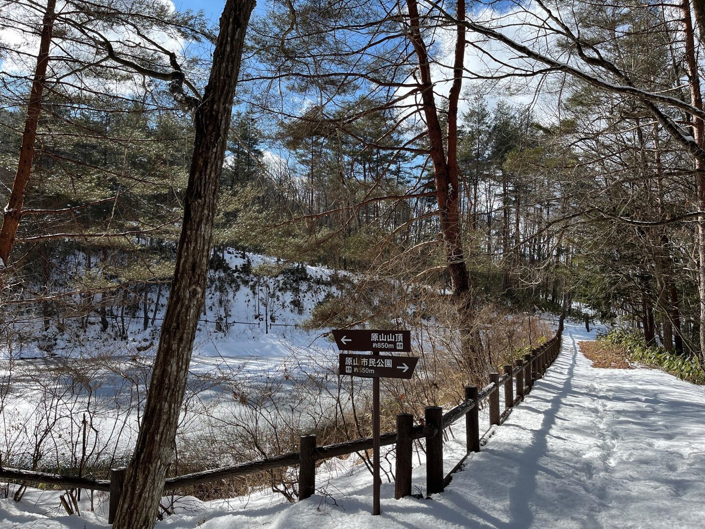 原山 / jiro23さんの松倉山の活動データ | YAMAP / ヤマップ