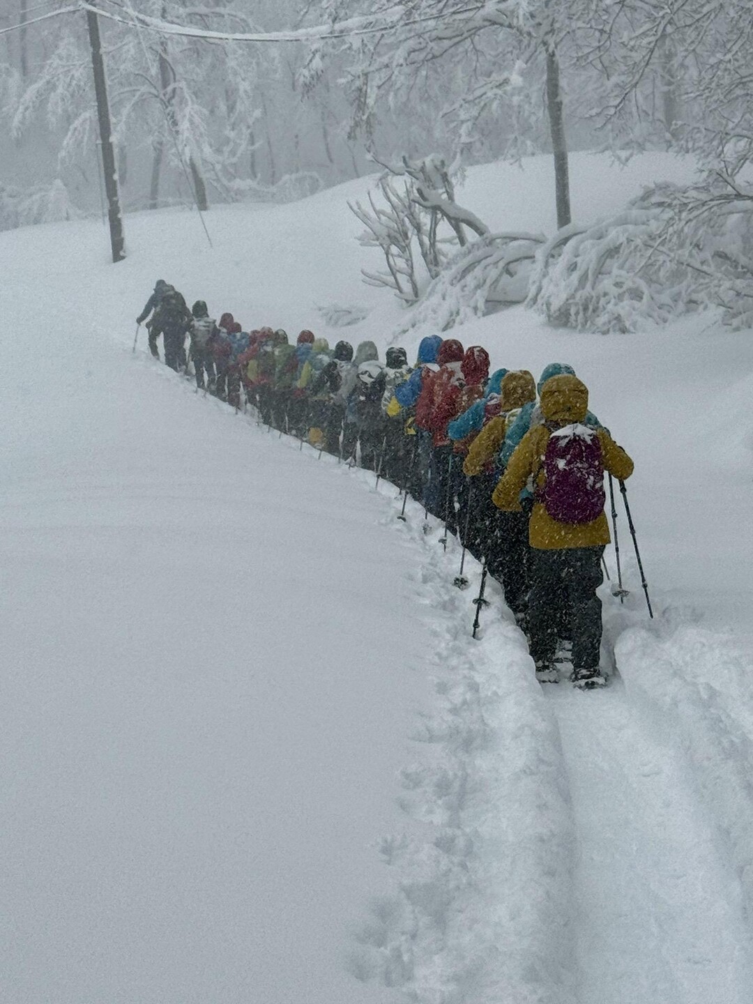 今年も始まりました☃️スノーシューそして山菜そば😋 / chi-zuさんの月山の活動データ | YAMAP / ヤマップ