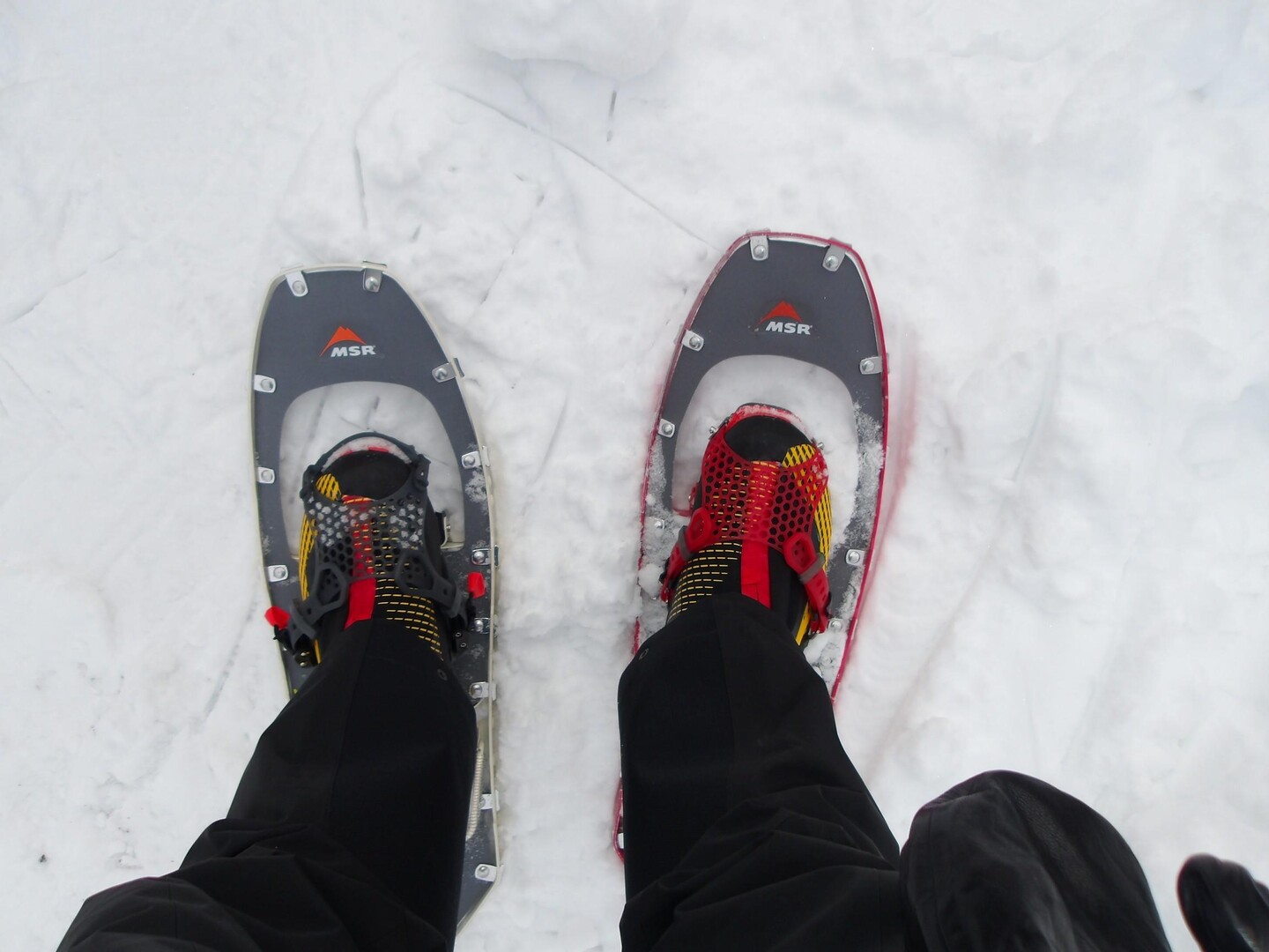 スノーシュー検証🥸中鶴根山 / Arcさんの中鶴根山・ピウケナイ山の活動データ | YAMAP / ヤマップ