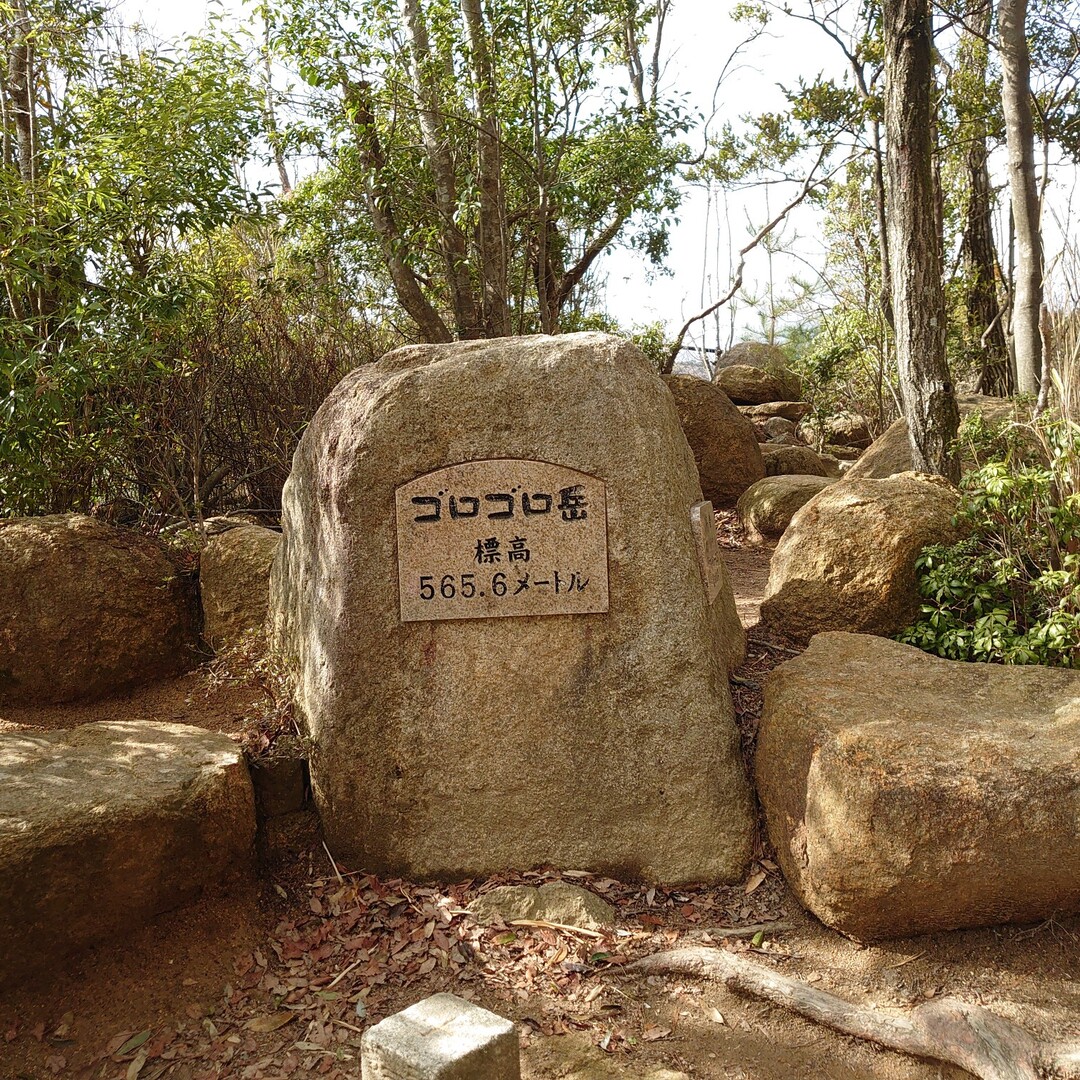 六甲ハイカーバッチ ゲット 200座はごろごろ岳⛰ / 丸子さんの六甲山・長峰山・摩耶山の活動日記 | YAMAP / ヤマップ