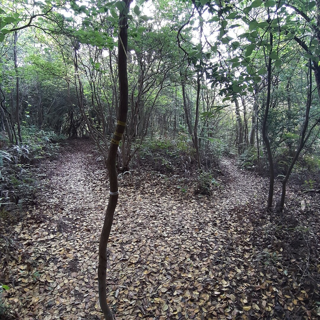 NTNさんの投稿したフィールドメモ | YAMAP / ヤマップ