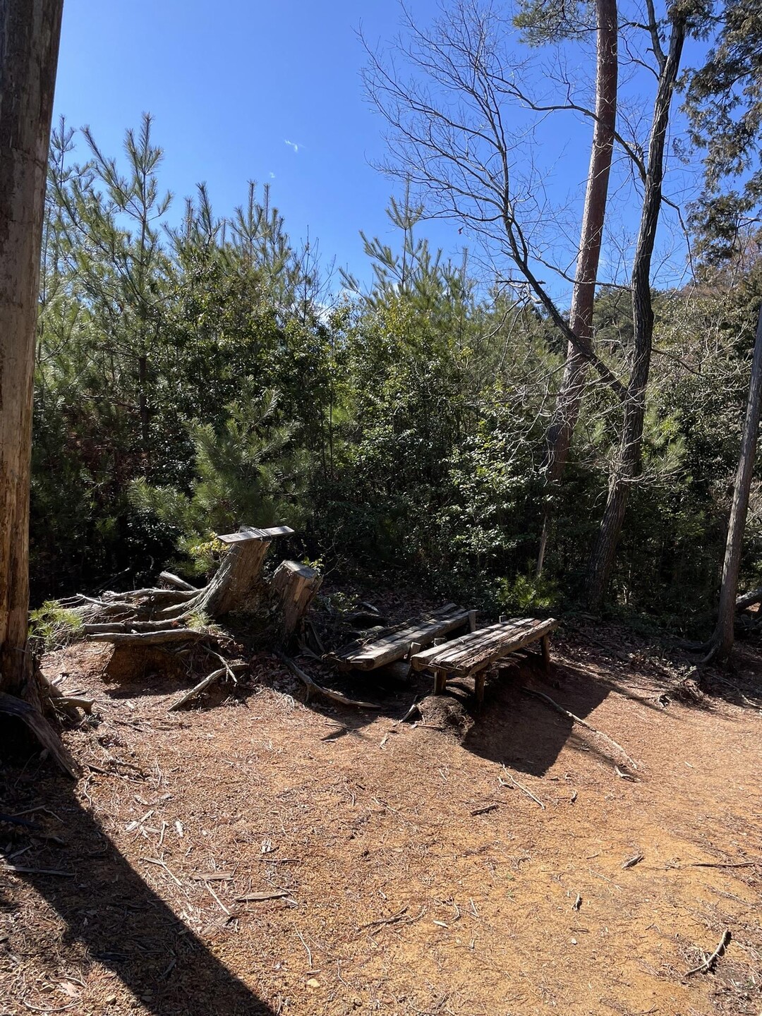 YassYassさんの投稿したフィールドメモ | YAMAP / ヤマップ