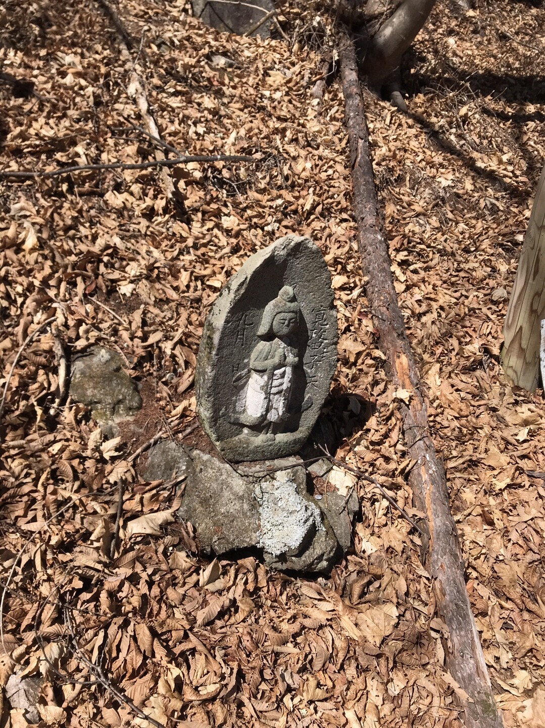 小楢山から大沢の頭 / yamajazzさんの小楢山・妙見山・乙女高原の活動データ | YAMAP / ヤマップ