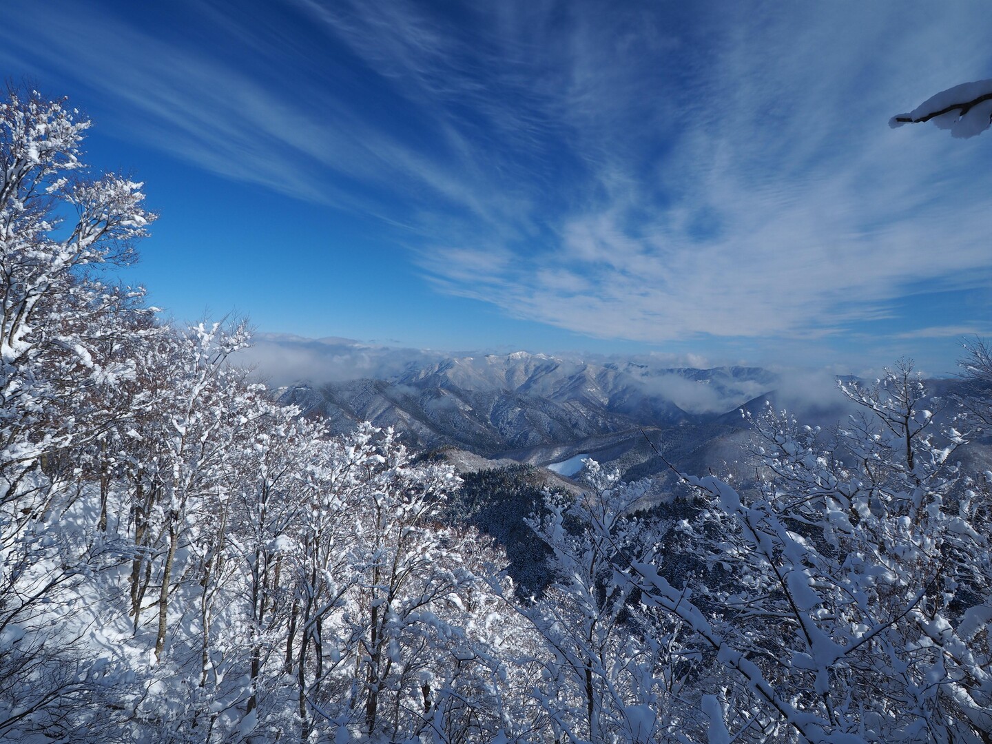 小貝月山 / ICHI JUNさんの貝月山の活動データ | YAMAP / ヤマップ