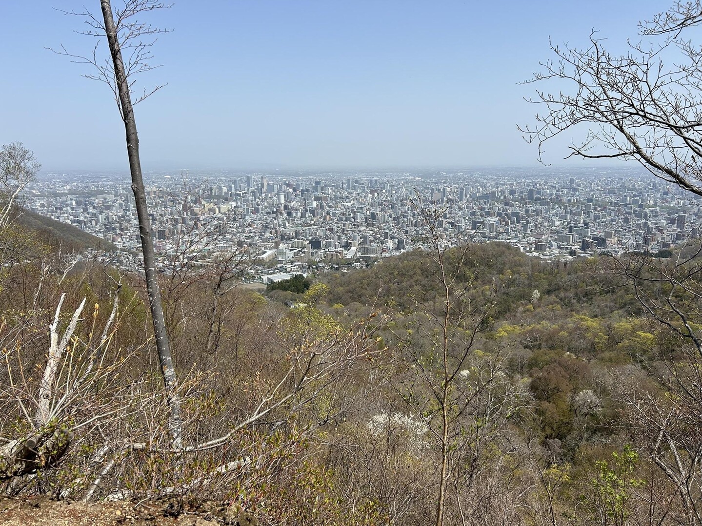 藻岩山TR / ziziさんの藻岩山の活動データ | YAMAP / ヤマップ