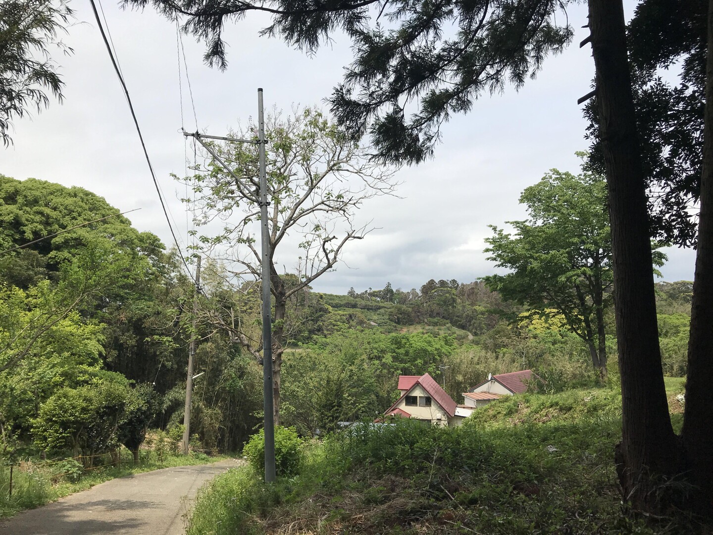 峯山（千葉県）-2020-05-06 / ktmlさんの登山の活動データ | YAMAP / ヤマップ