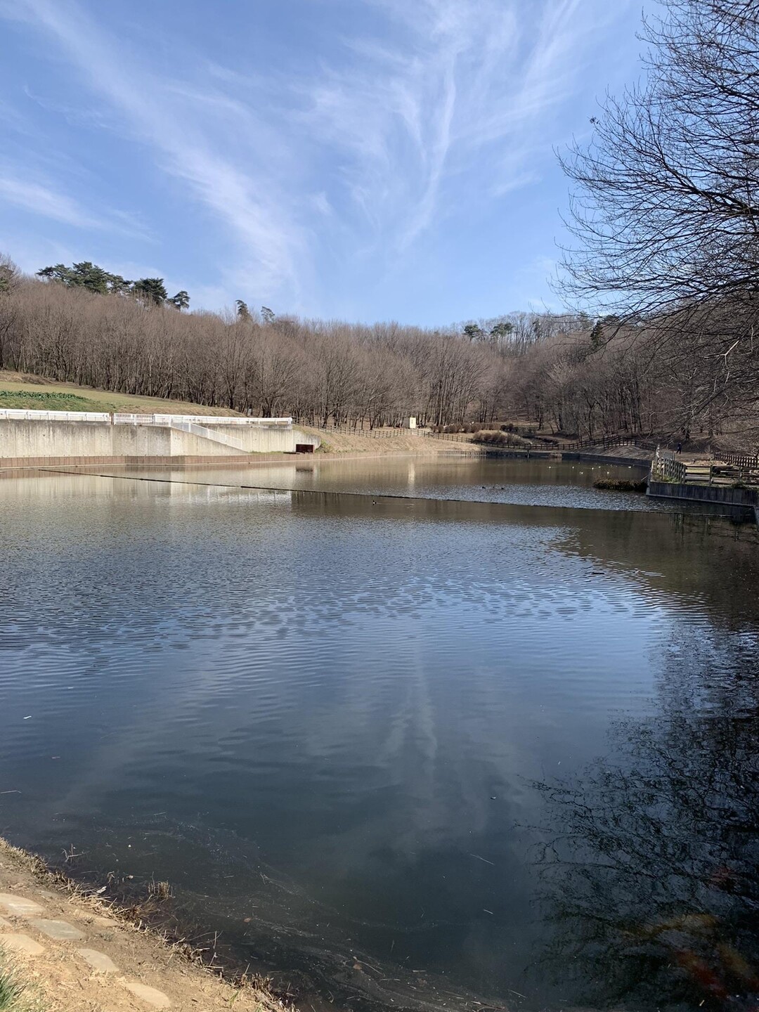 鹿田山・御嶽山・弥右衛門山・道帰り山 / sayo☺︎︎︎︎さんの鹿田山の活動データ | YAMAP / ヤマップ