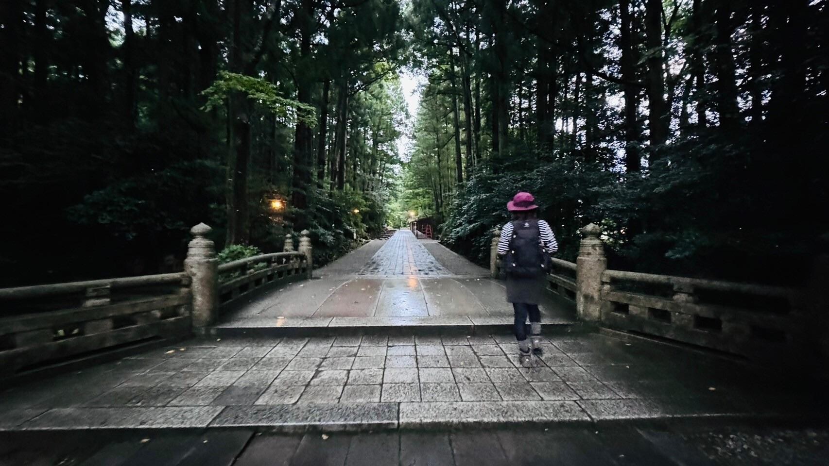 弥彦山⛩ 日本三彦山達成ᐠ( ᐛ )ᐟ / etsuko ︎⡱さんの弥彦山・多宝山・雨乞山の活動データ | YAMAP / ヤマップ