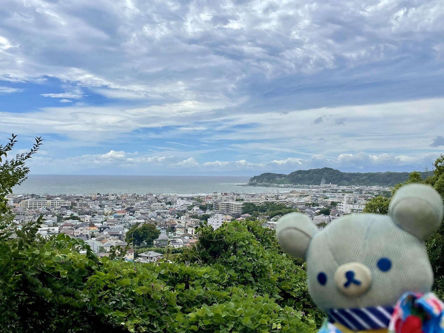 今シーズンラスト熱中症(ll'ω') 祇園山 / のりたまさんの鎌倉アルプス（大平山・天台山）の活動データ | YAMAP / ヤマップ
