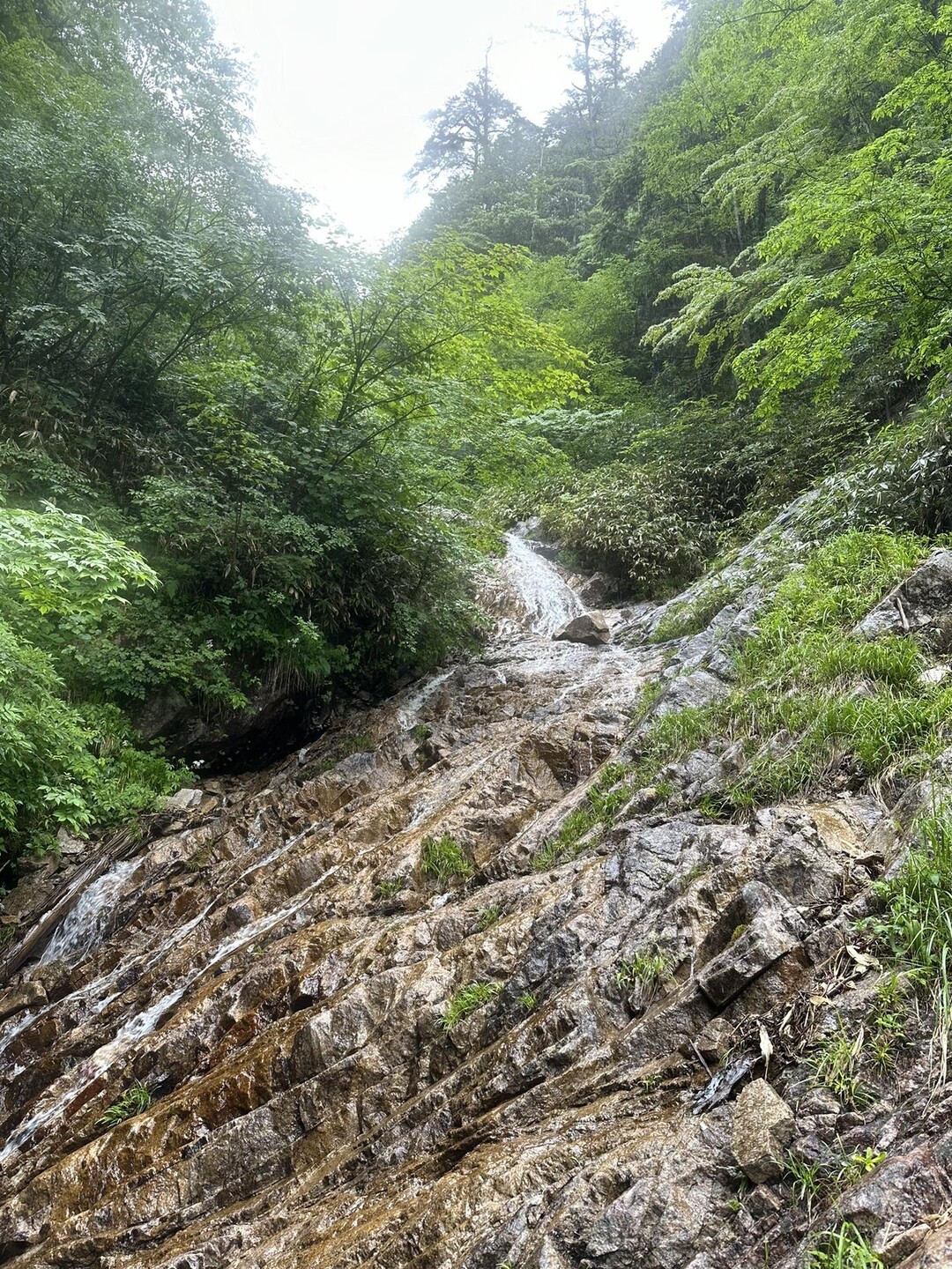 【黒川沢】沢登りトレーニングDay2 / ゆうちゃんさんの燕岳・餓鬼岳・唐沢岳の活動データ | YAMAP / ヤマップ