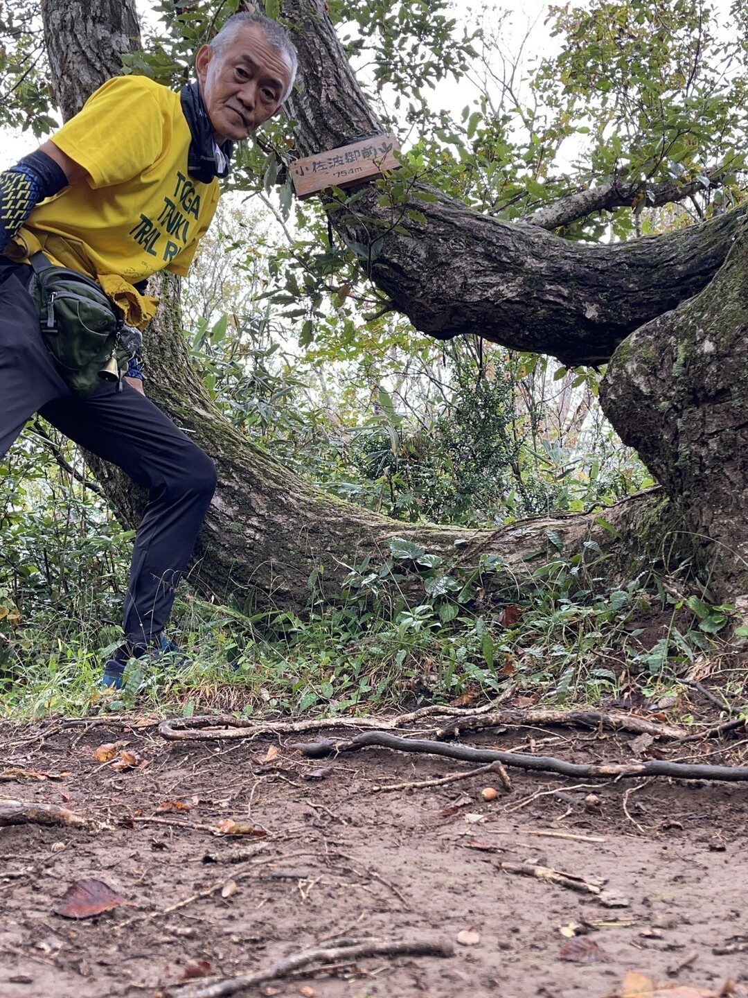 無理やり累積標高1,000mにした猿倉山(32回)・御前山(28回)・小佐波御前山(12回) / ポンコツさんの小佐波御前山の活動データ | YAMAP / ヤマップ