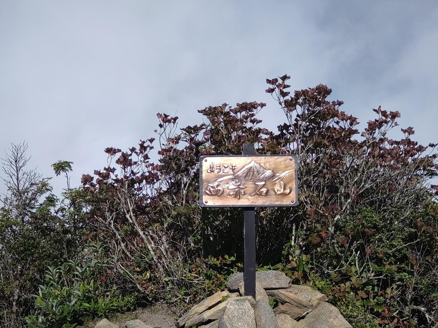 西赤石山ピストン / Tom Ookaさんの東赤石山・西赤石山・物住頭の活動データ | YAMAP / ヤマップ