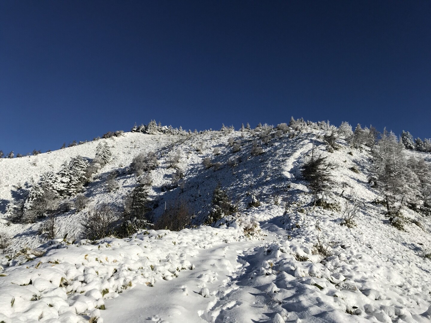 大川入山 / kato8686さんの大川入山・横岳の活動データ | YAMAP / ヤマップ