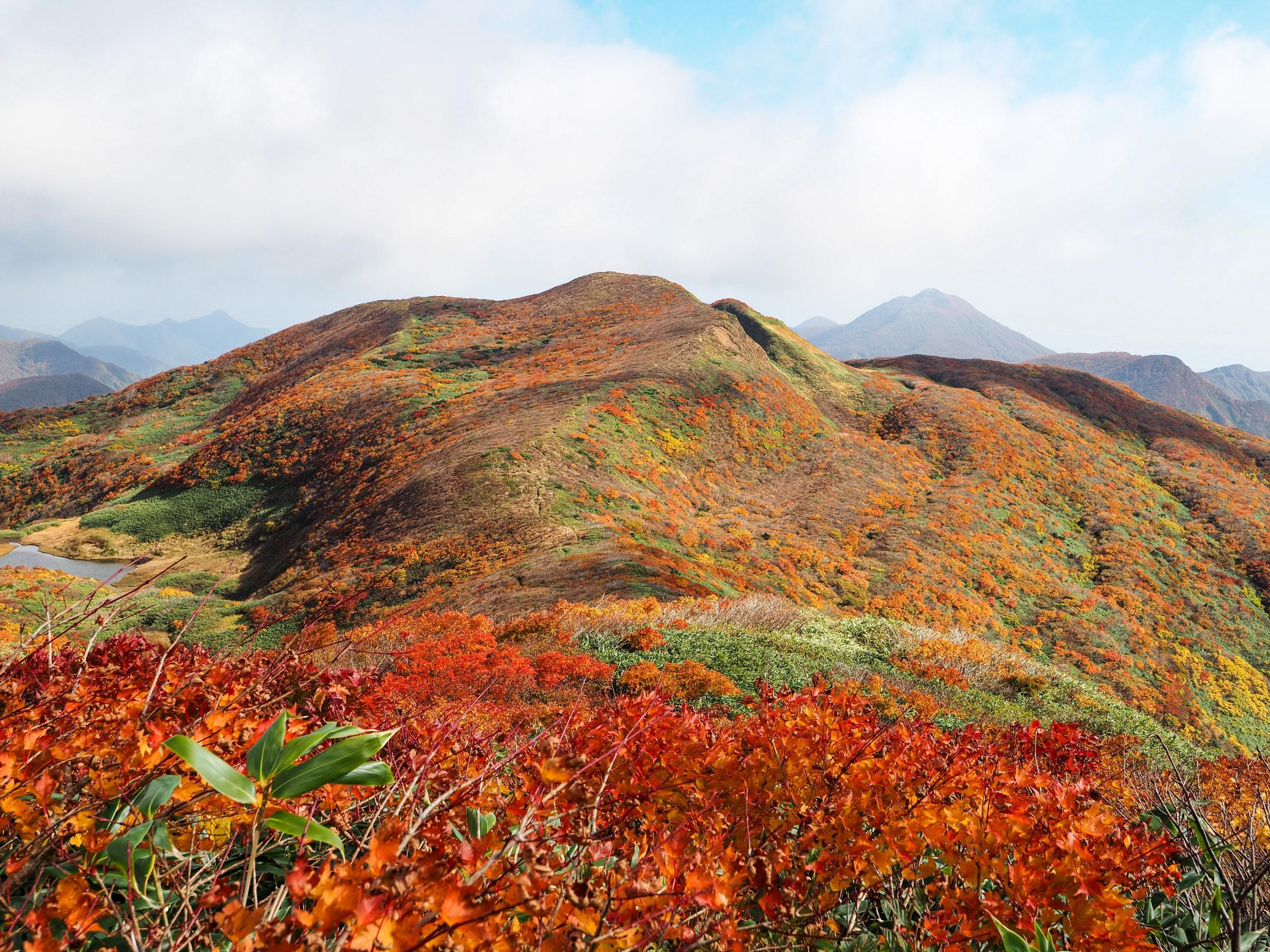 焼石岳🍁 - 20241013 / Tadaboxさんの焼石岳・兎森山・鷲ヶ森山の活動日記 | YAMAP / ヤマップ