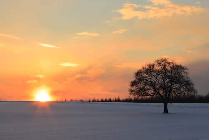 今週も地元で週末フォトグラファー😅 ... / かずたOKTさんのモーメント | YAMAP / ヤマップ