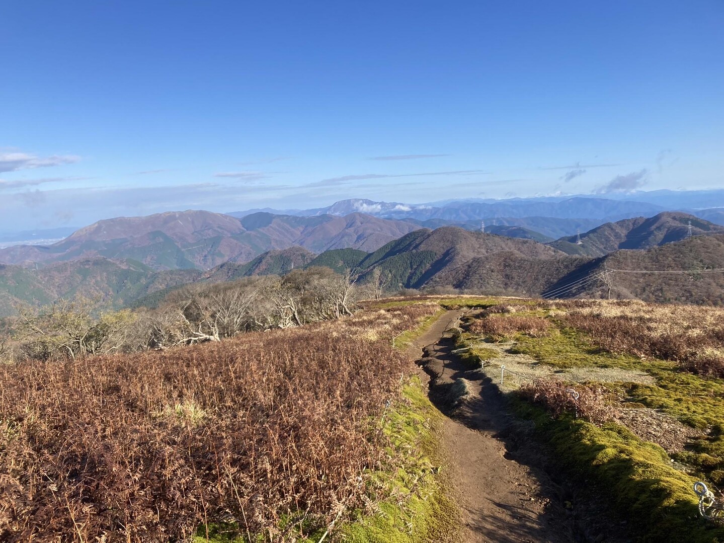 🐿に会えず、初雪に遭う ️鈴北岳・御池岳 / akoさんの藤原岳・御池岳の活動データ | YAMAP / ヤマップ