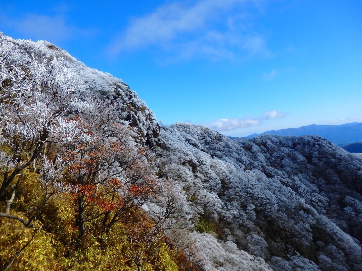 祖母山 雪の華 ︎満開 / konkonさんの祖母山の活動データ | YAMAP / ヤマップ