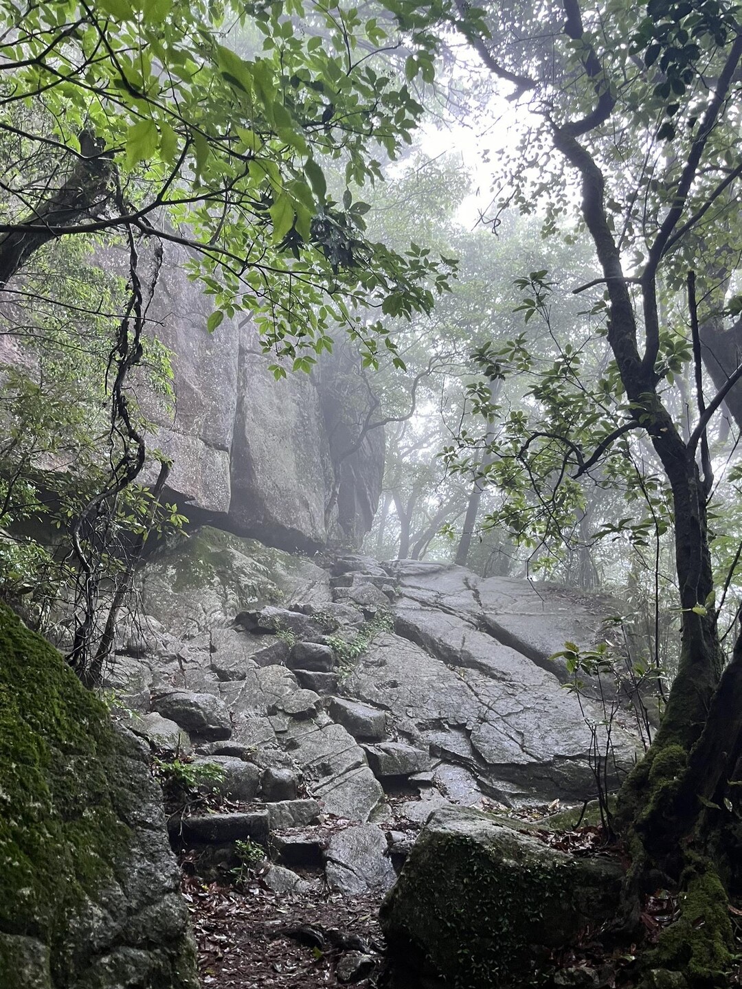 宝満山 / Eiji Kiriyamaさんの宝満山・三郡山・若杉山の活動データ | YAMAP / ヤマップ