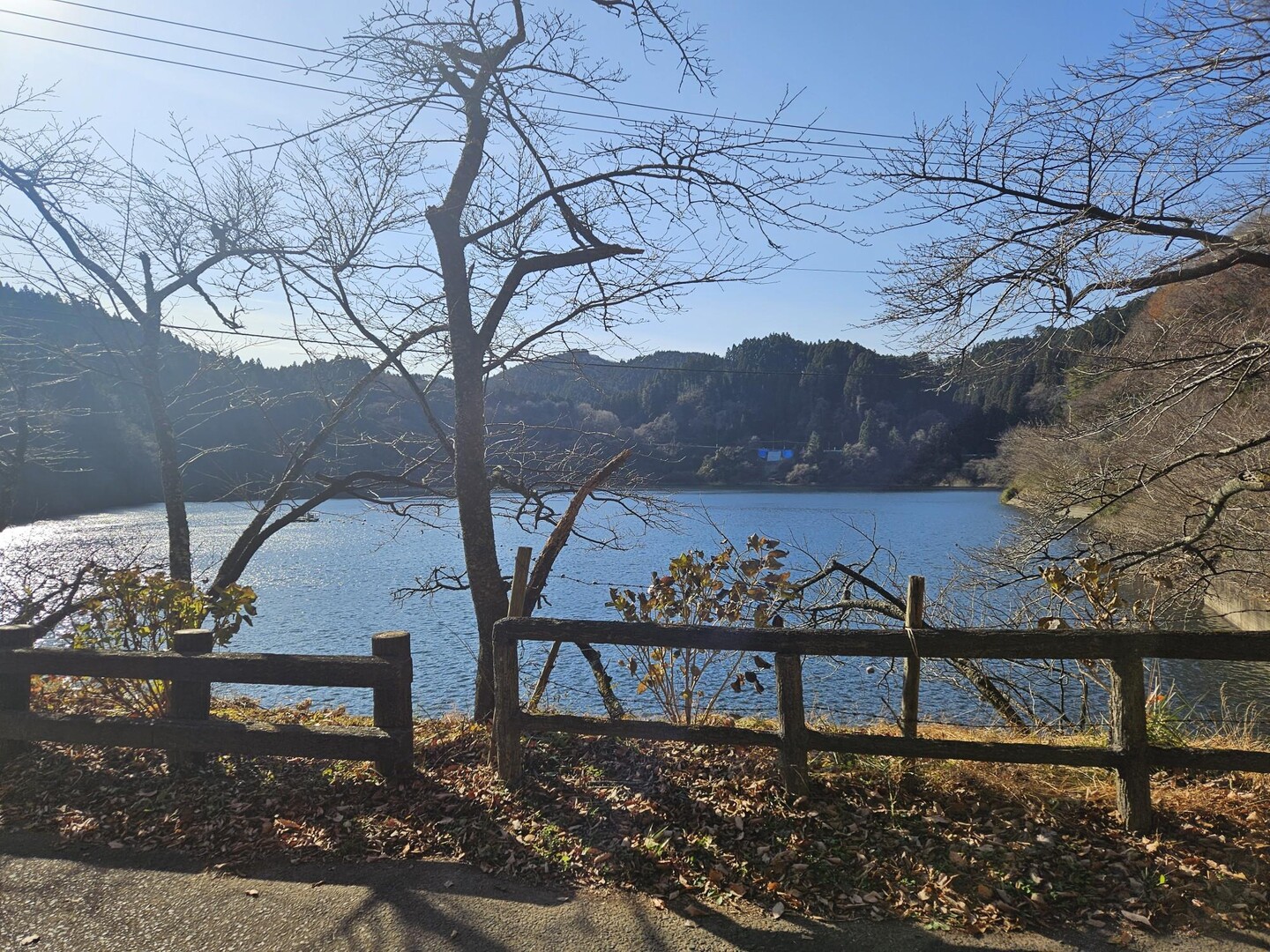 手ぬぐいGETの旅💃 / EIKO🍙さんの鷹巣山の活動データ | YAMAP / ヤマップ