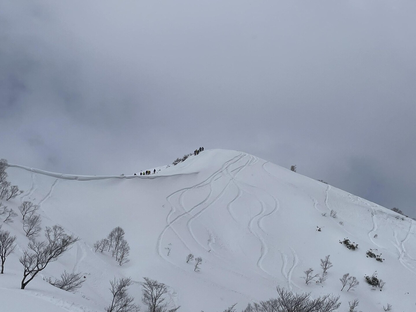 大日ヶ岳(高鷲スノーパーク山頂 IN/OUT) / umi1711さんの大日ヶ岳・毘沙門岳の活動データ | YAMAP / ヤマップ