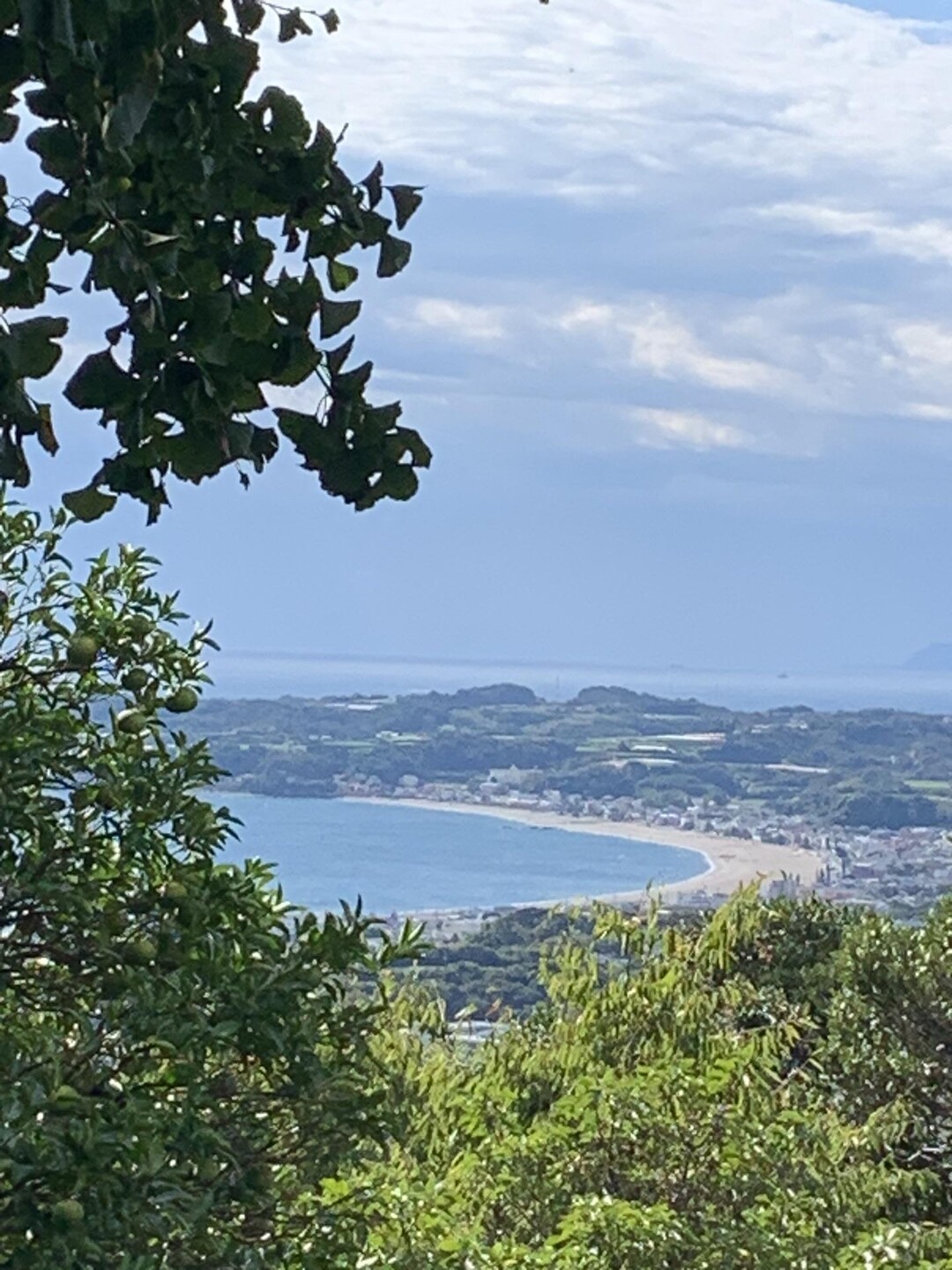 富士山（三浦富士）・砲台山・武山 / Yasu.tさんの大楠山・武山・三浦富士の活動データ | YAMAP / ヤマップ