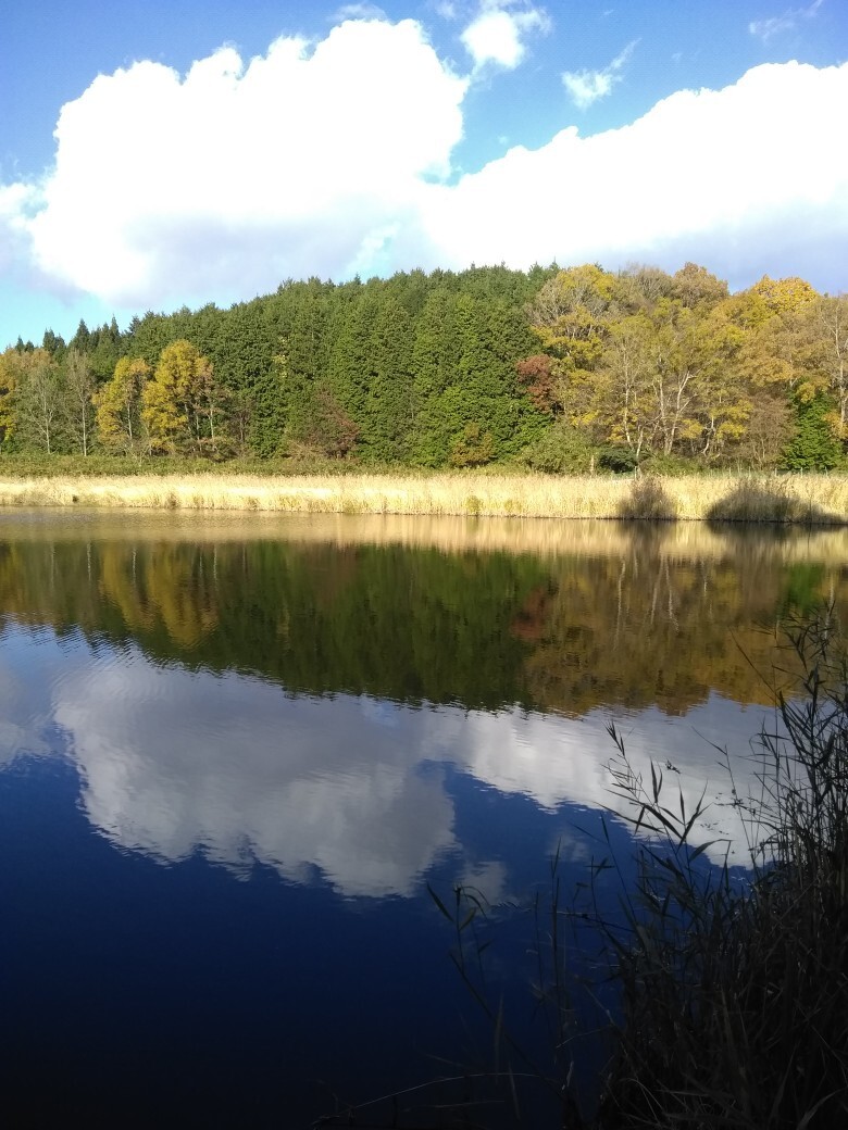 龍王ヶ渕 / TKさんの額井岳の活動データ | YAMAP / ヤマップ