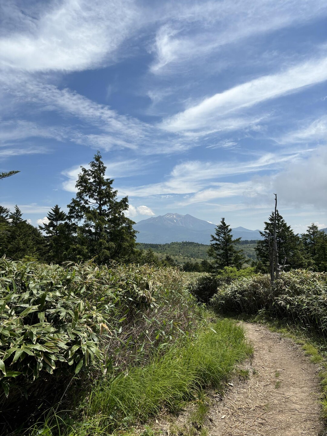 白草山 / fuku.amuさんの白草山・寺田小屋山の活動データ | YAMAP / ヤマップ
