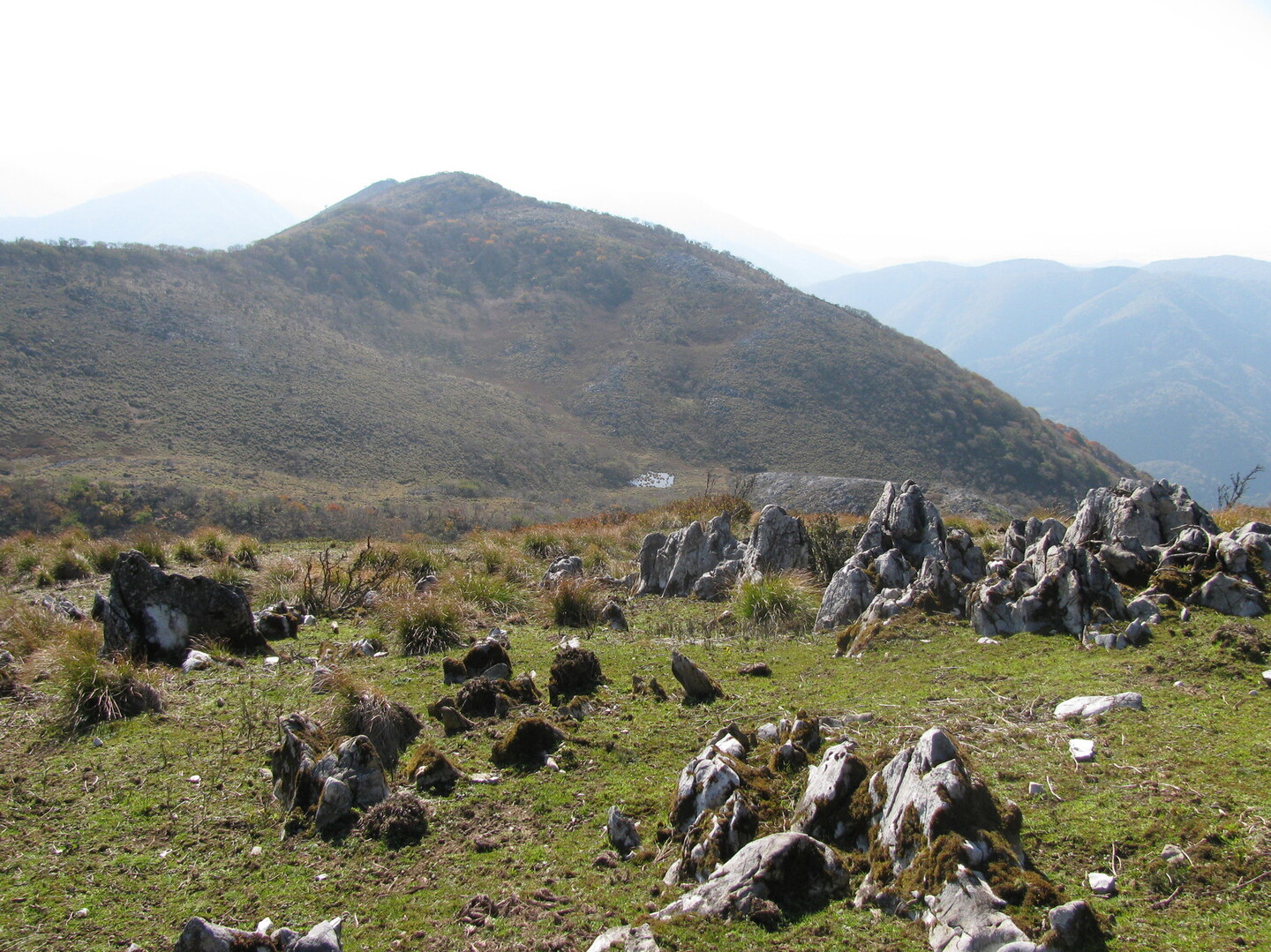 霊仙山（秋）上丹生登山口～頂上ピストン / ukonさんの霊仙山の活動データ | YAMAP / ヤマップ