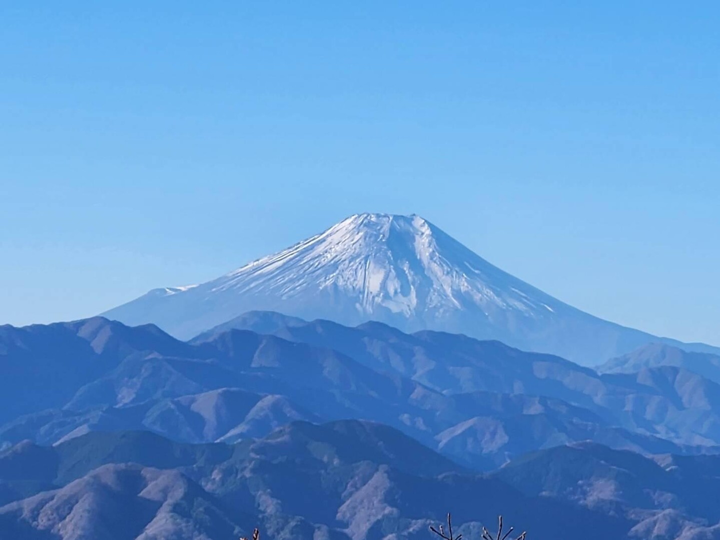 陣馬山〜高尾山 2023/12/8 / eikoさんの高尾山・陣馬山・景信山の活動データ | YAMAP / ヤマップ