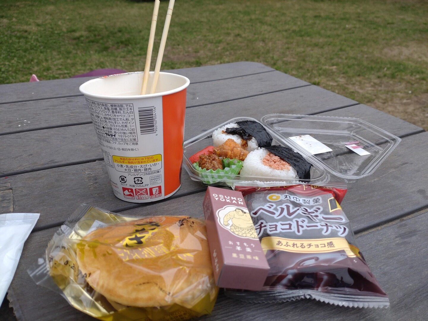 スローで金剛山！ / STSケイさんの金剛山・二上山・大和葛城山の活動データ | YAMAP / ヤマップ