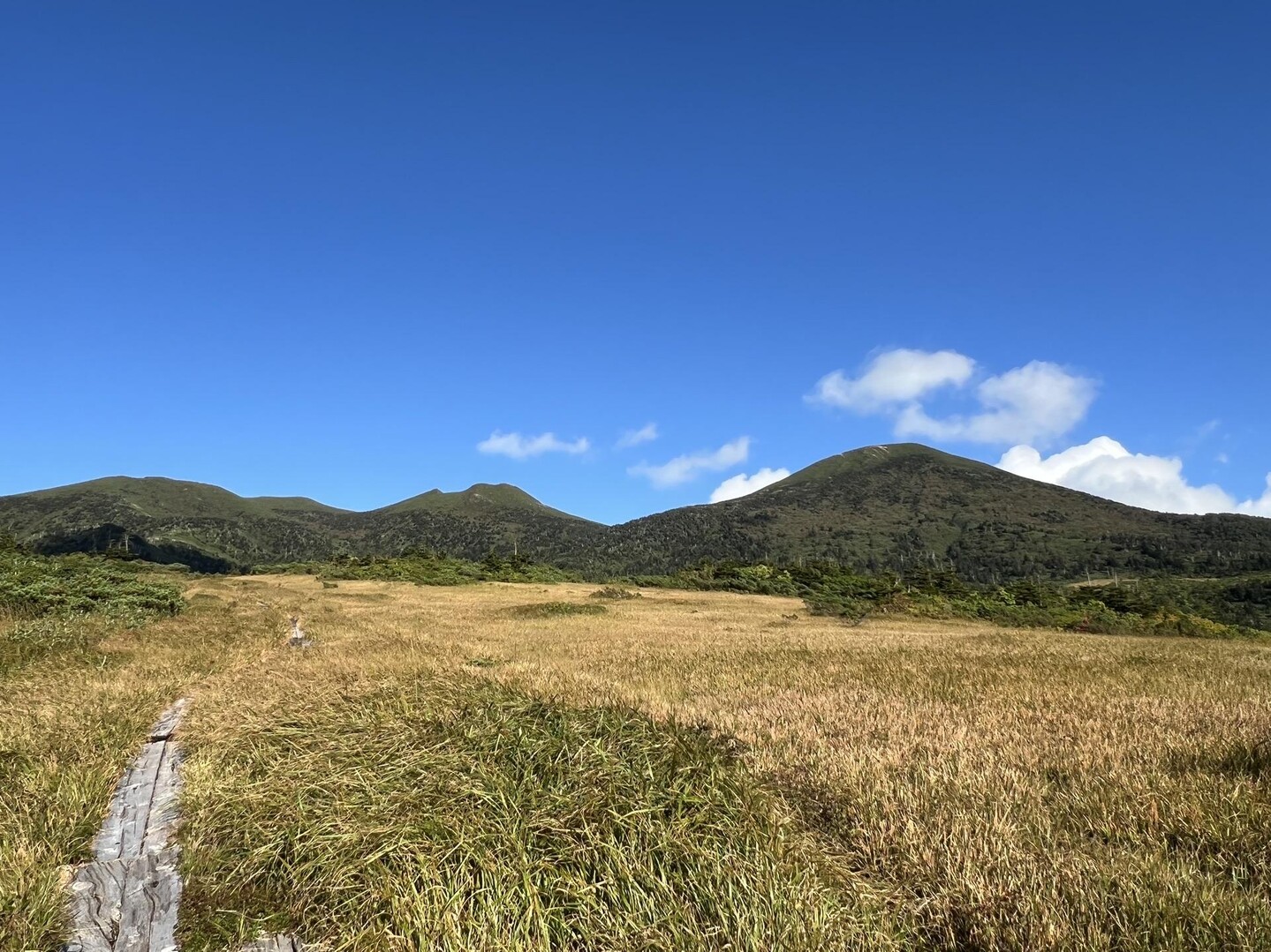八甲田山（大岳） / Fisherマンさんの八甲田山・高田大岳・雛岳の活動日記 | YAMAP / ヤマップ