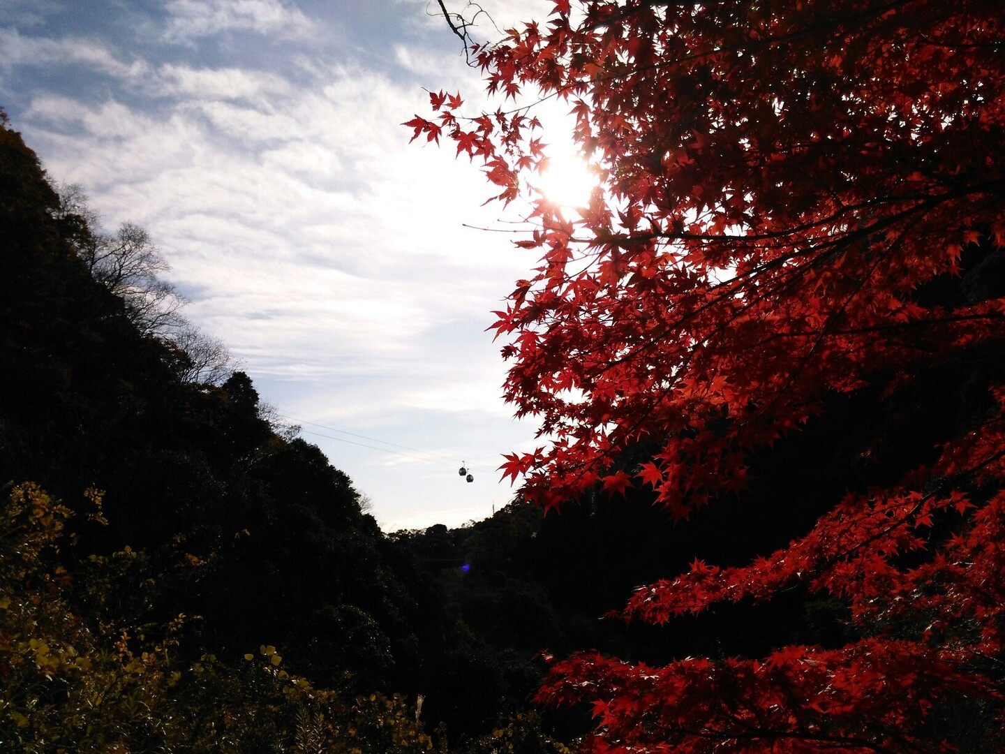 摩耶山へGO! / miloさんの六甲山・長峰山・摩耶山の活動データ | YAMAP / ヤマップ