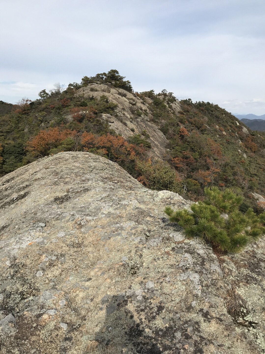 桶居山を越えて高山に行こう / つか爺ターボさんの高御位山・播磨アルプスの活動データ | YAMAP / ヤマップ