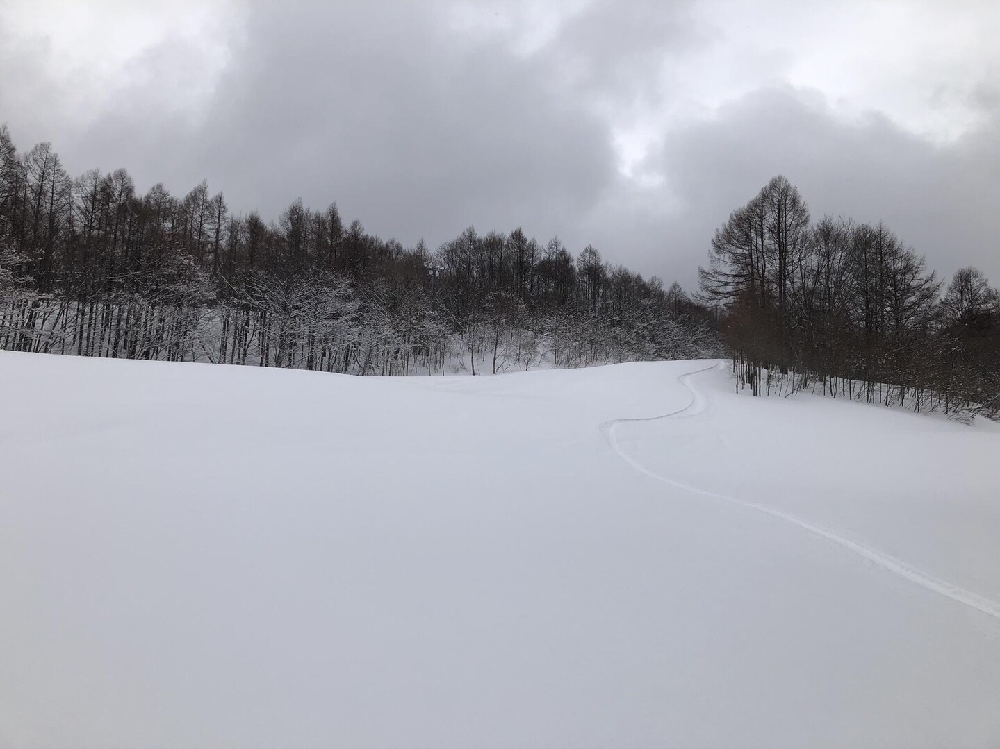 青森スプリング・スキーリゾート / snow@ystさんの岩木山（岩鬼山）・鳥海山・鍋森山の活動データ | YAMAP / ヤマップ