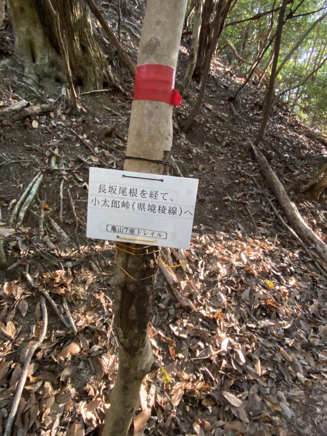 k2ma34さんの投稿したフィールドメモ | YAMAP / ヤマップ